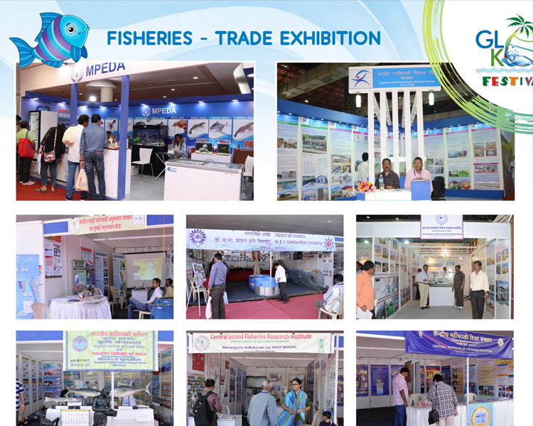 Features - Fisheries